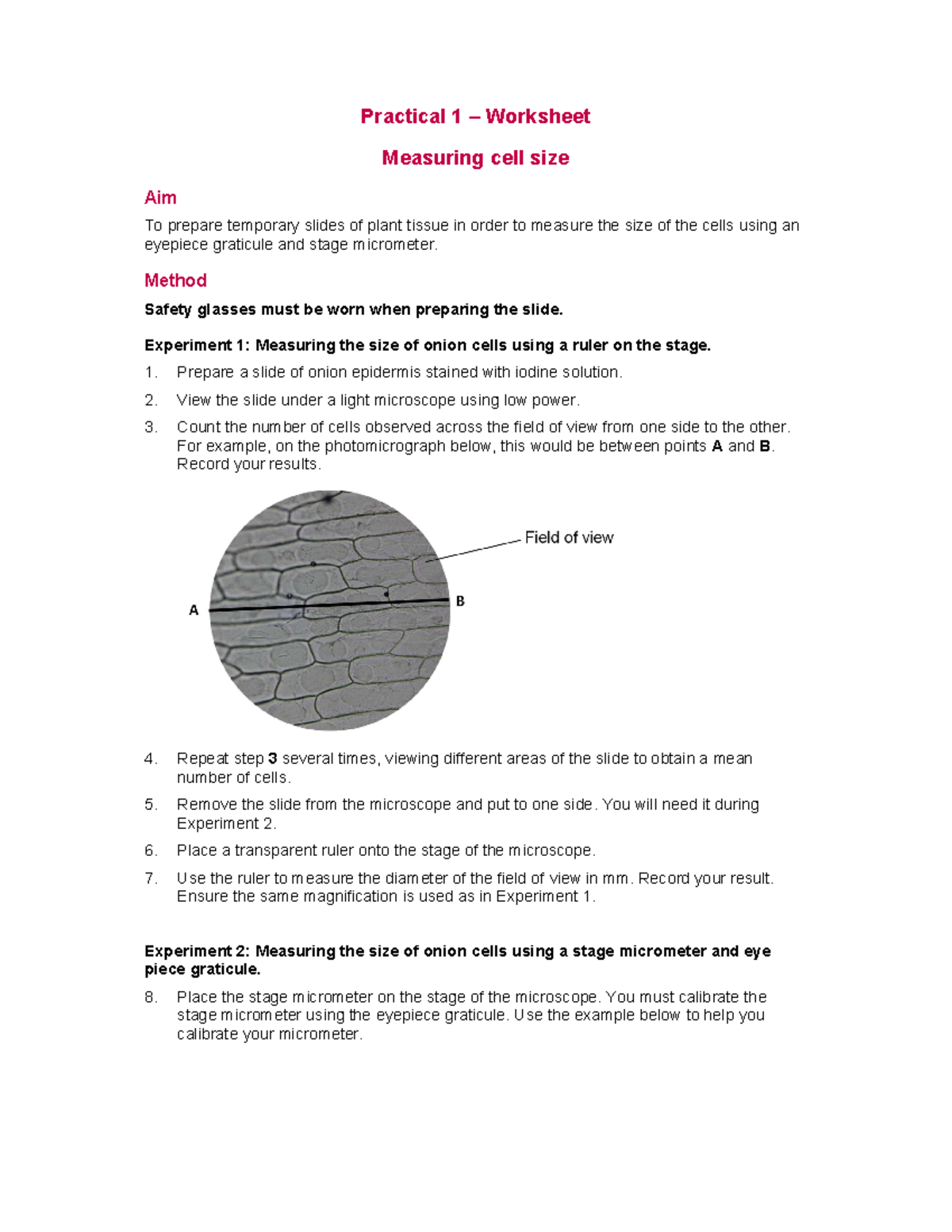 Print - bio - Practical 1 – Worksheet Measuring cell size Aim To ...
