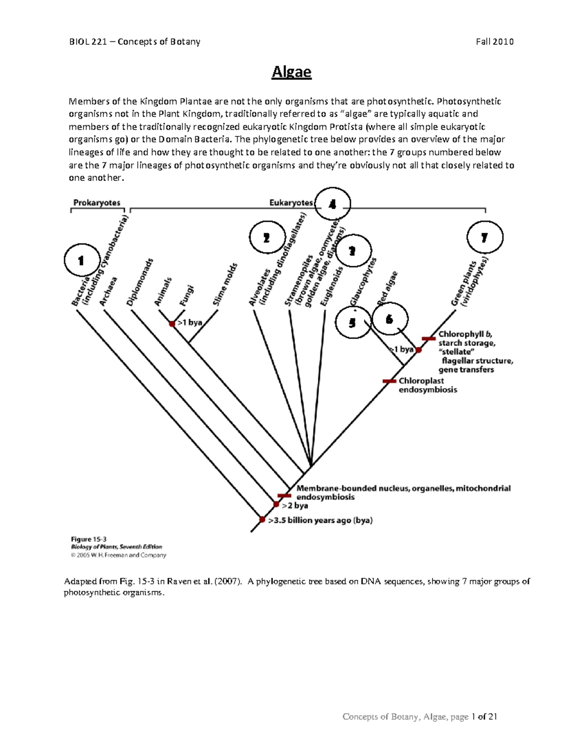 11. Concepts of Botany, Algae author Millersville University Herbarium ...