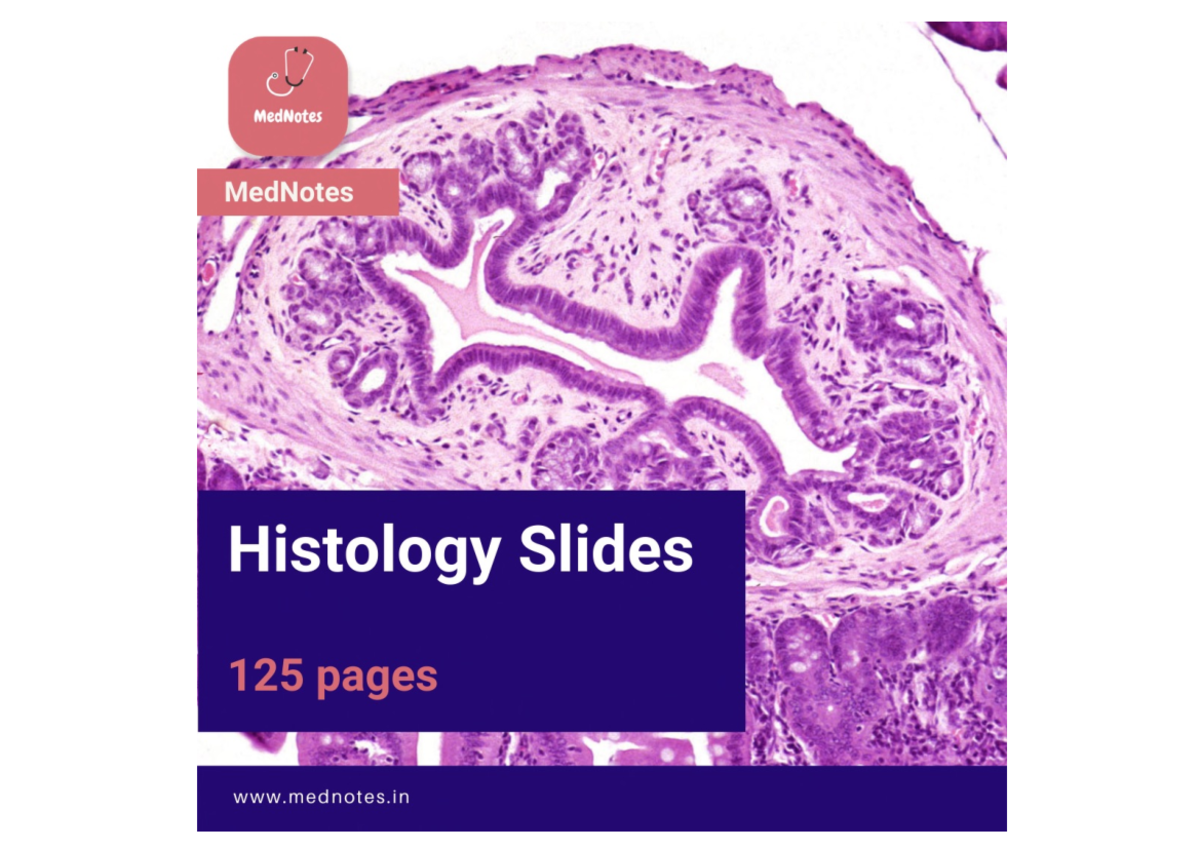 Histology Slides with Identification Points - For First Professional ...