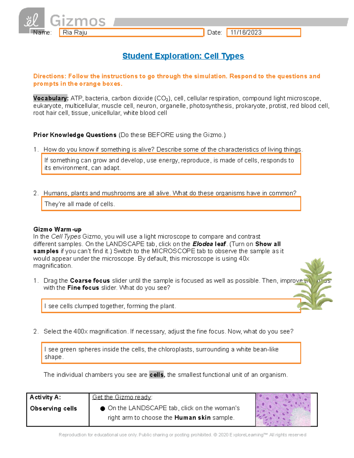 Ria Raju - Microscopes and Cell Types Gizmo - 9886322 - Name: Ria Raju ...