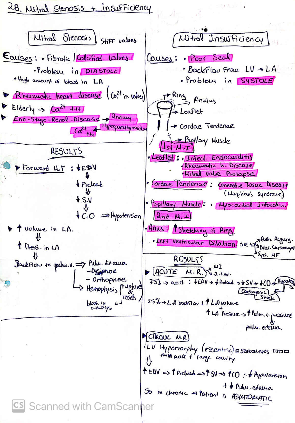 Pathophysiology cardiovascular 2 - Pathological physiology - Studocu