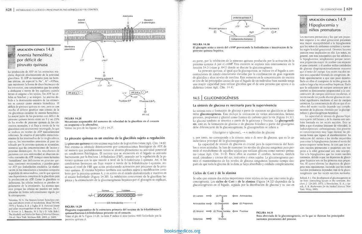 Devlin, T. Bioquímica. Barcelona, España Reverte Parte 2 - Bioquímica ...