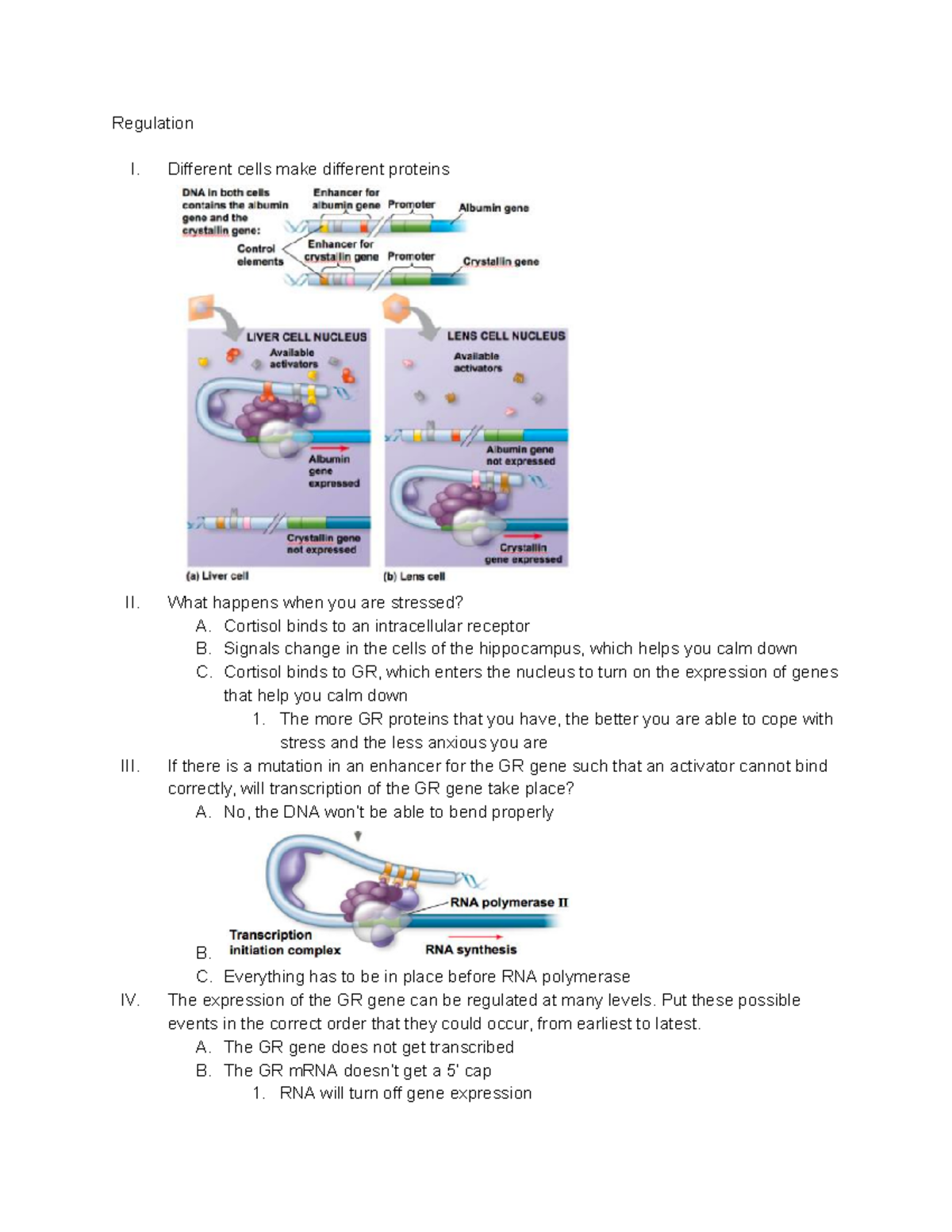 Bio 93 Lecture 16 - Trio - Regulation I. Different cells make different ...