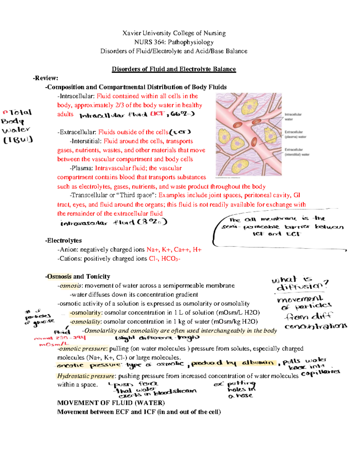 Fluid+and+Electrolyte+Imbalances+Class+Notes+364+ Answers - Xavier ...