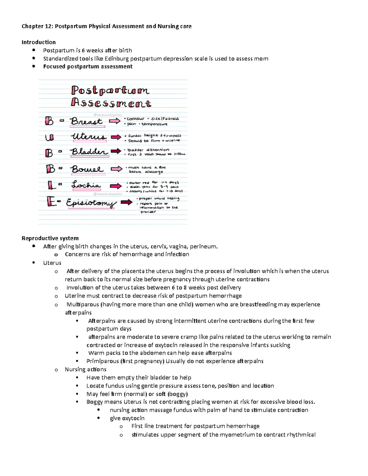 NURS 306 Week 3 OB notes - Chapter 12: Postpartum Physical Assessment ...
