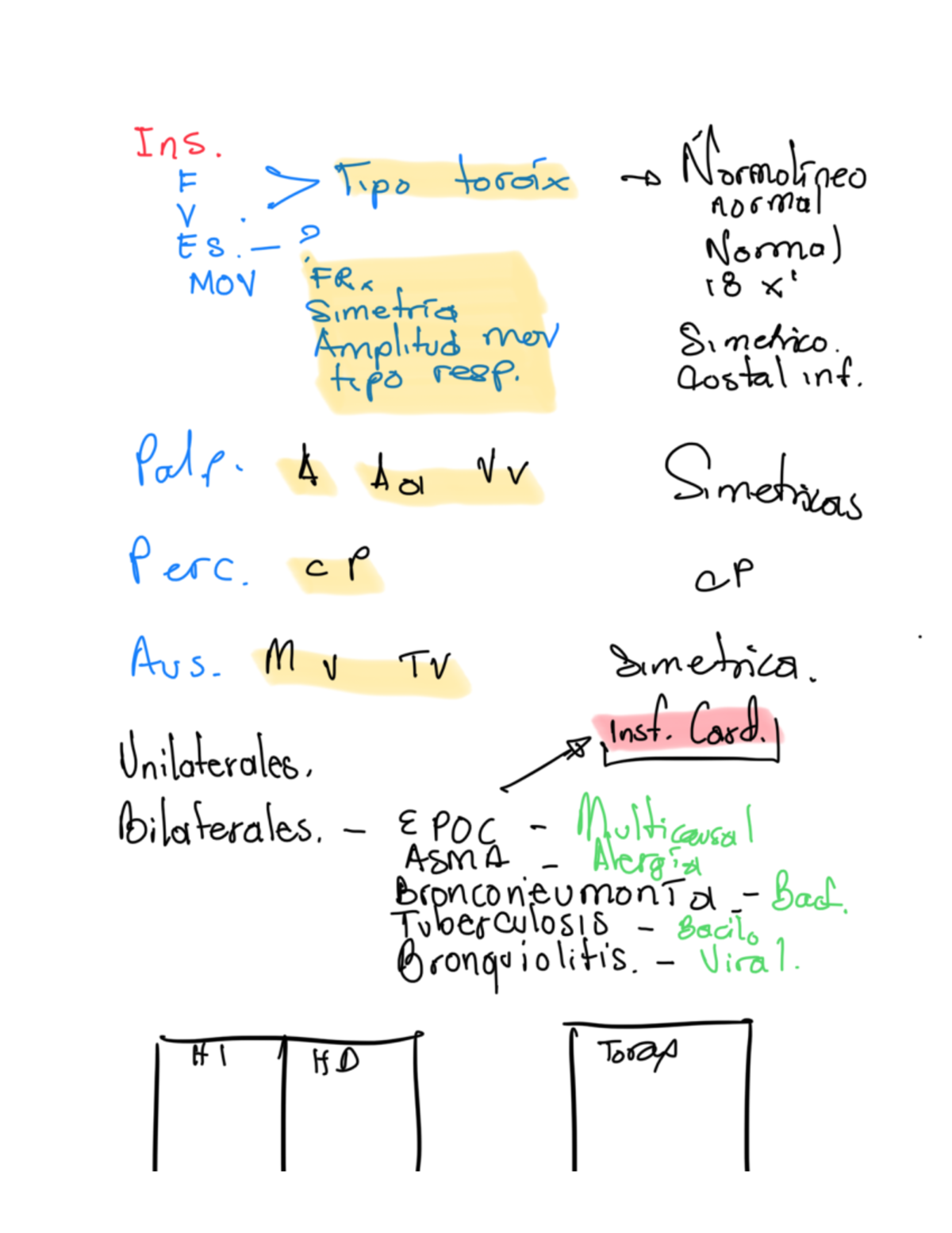 Tipo tórax -o Normolíneo - Propedeutica - Studocu