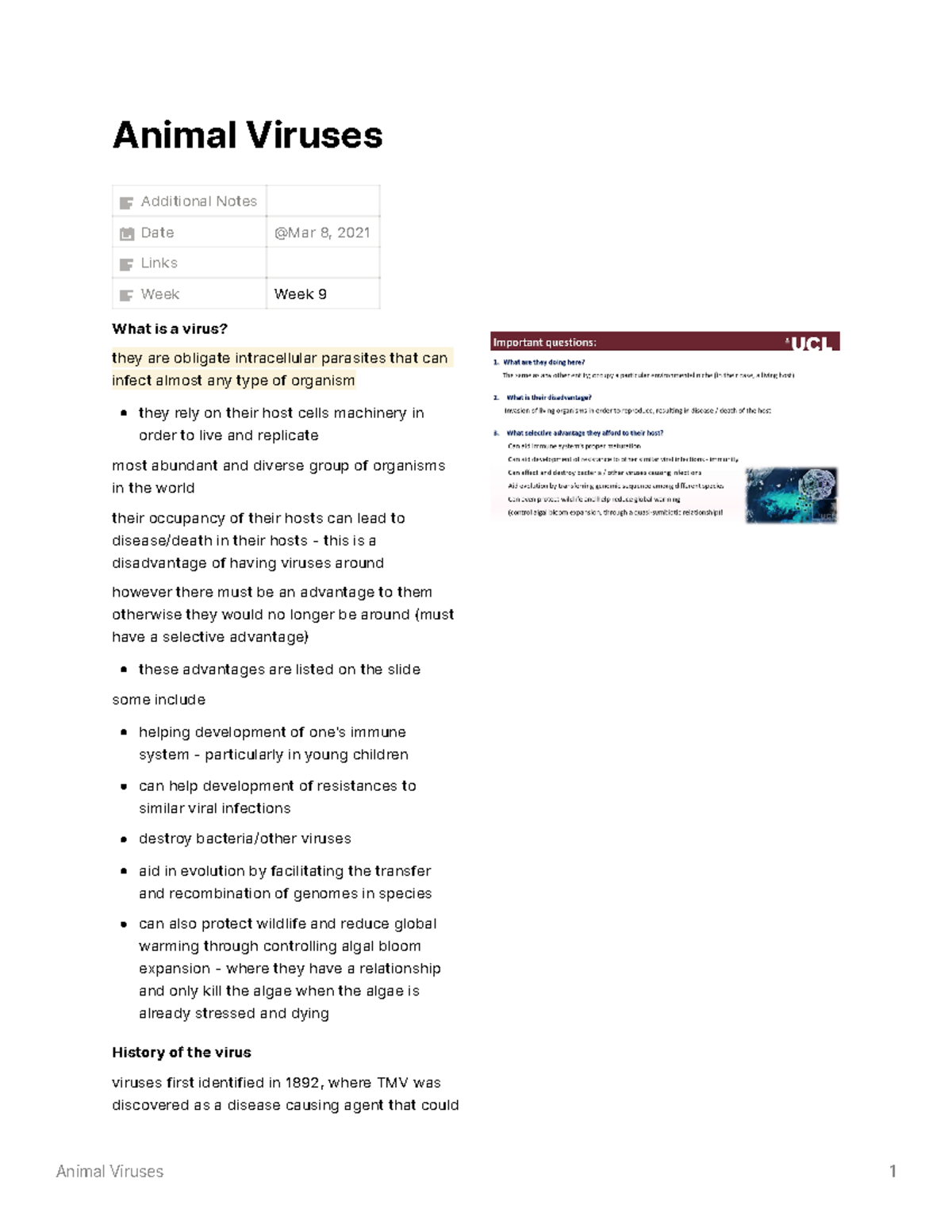 Animal Viruses - Lecture notes 18 - Animal Viruses Additional Notes ...
