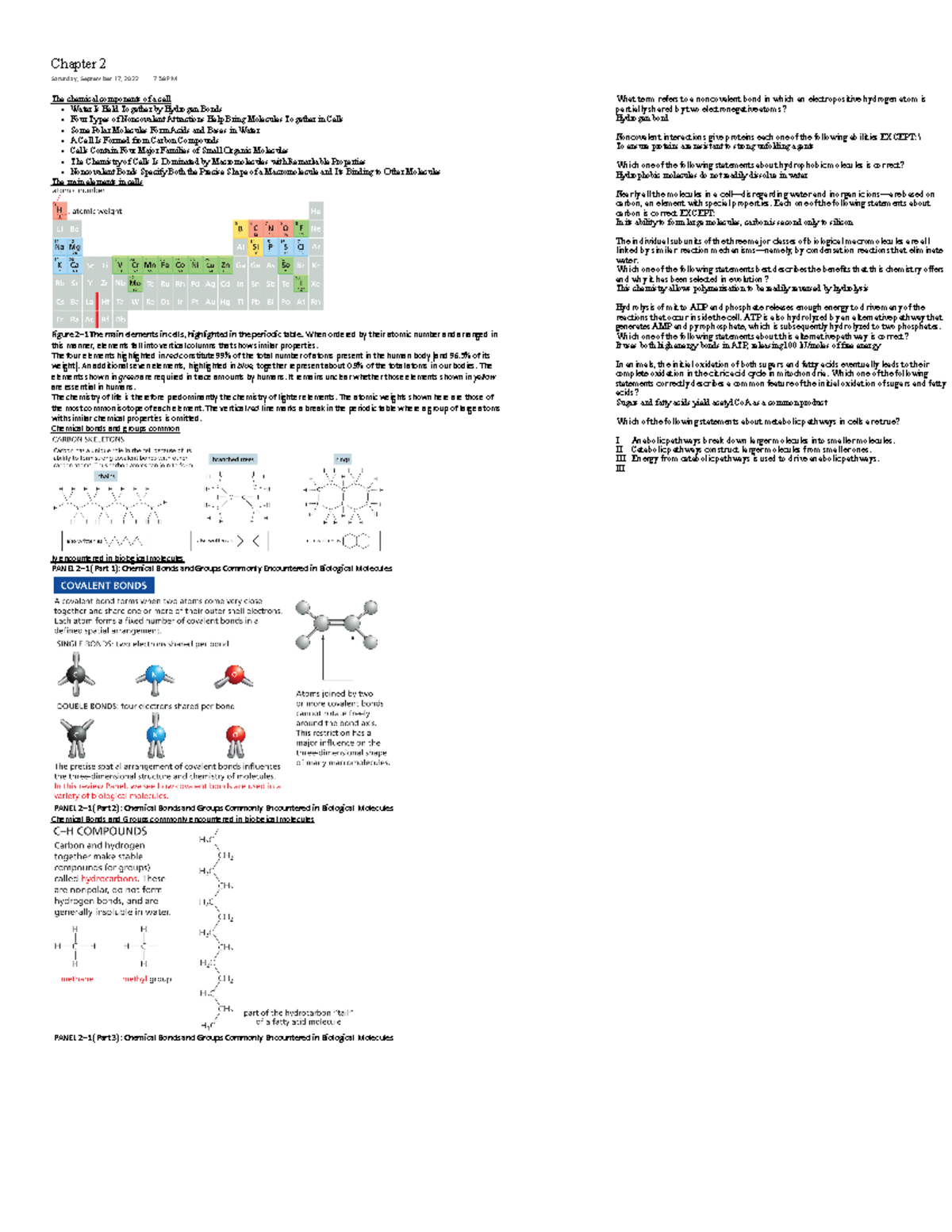 Ch 2 - Ch 2: Cell Chemistry and Bioenergetics - The chemical components ...