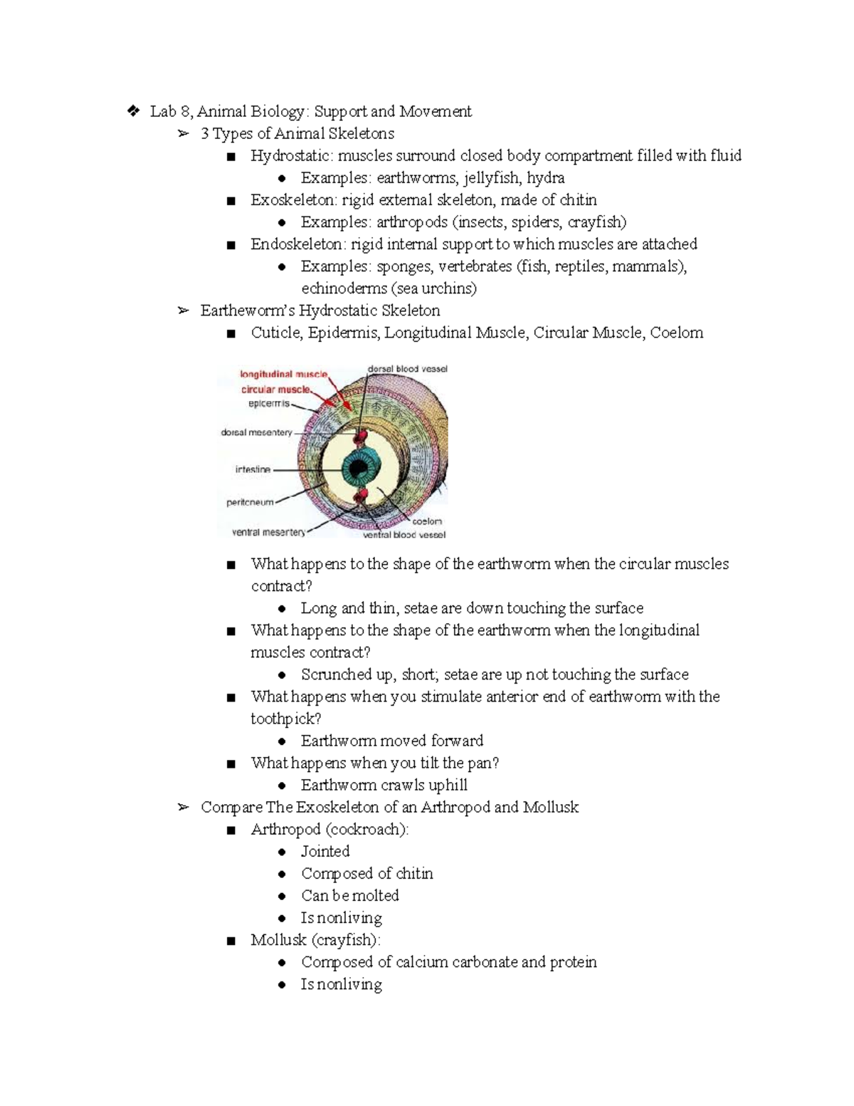 Lab Exam 3 Study Guide - Lab 8, Animal Biology: Support and Movement 3 ...