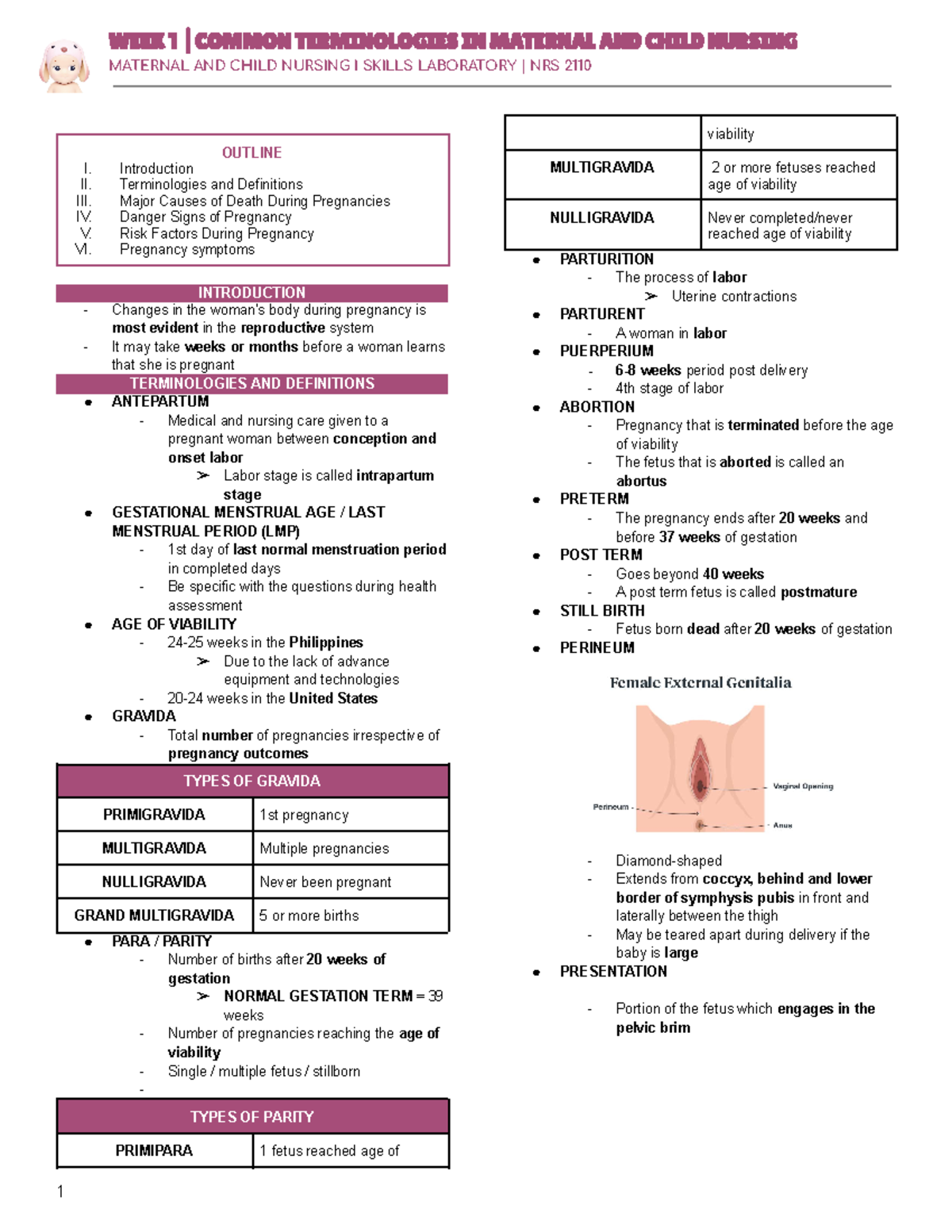 [MCN SL] Common Terminologies - WEEK 1 |COMMON TERMINOLOGIES IN ...
