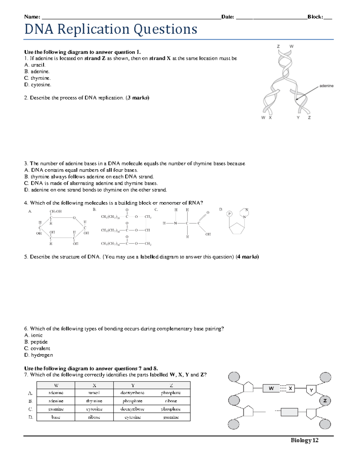 PE Questions DNA - Documents - DNA Replication Questions Use the ...