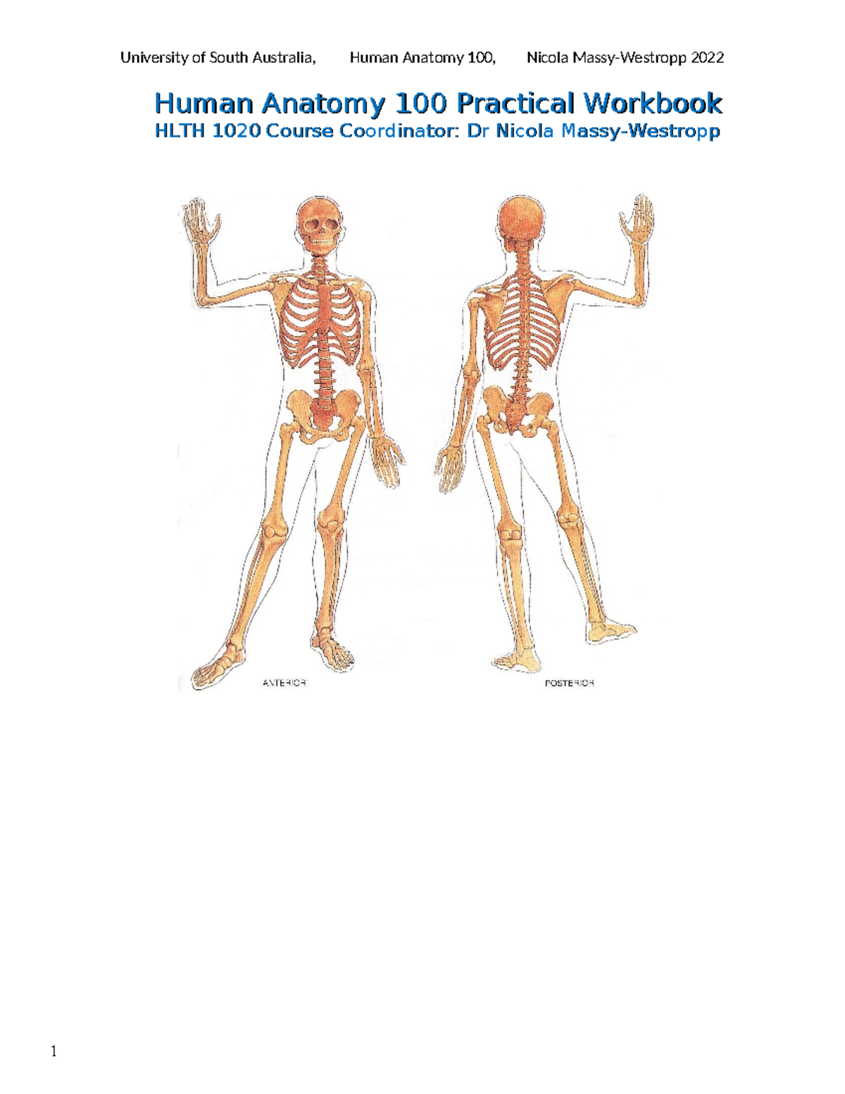 Human Anatomy Spine Thorax Abdomen Labelling - Human Anatomy 100 ...
