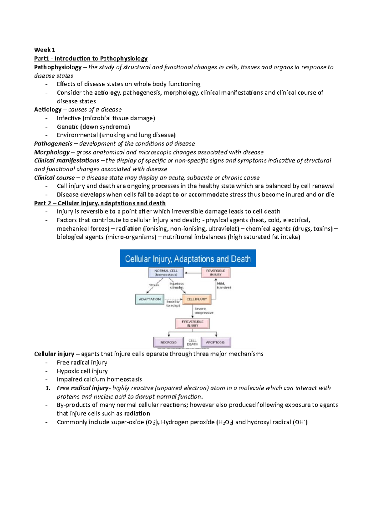 CS1 - Lecture notes notes - Week 1 Part1 - Introduction to ...