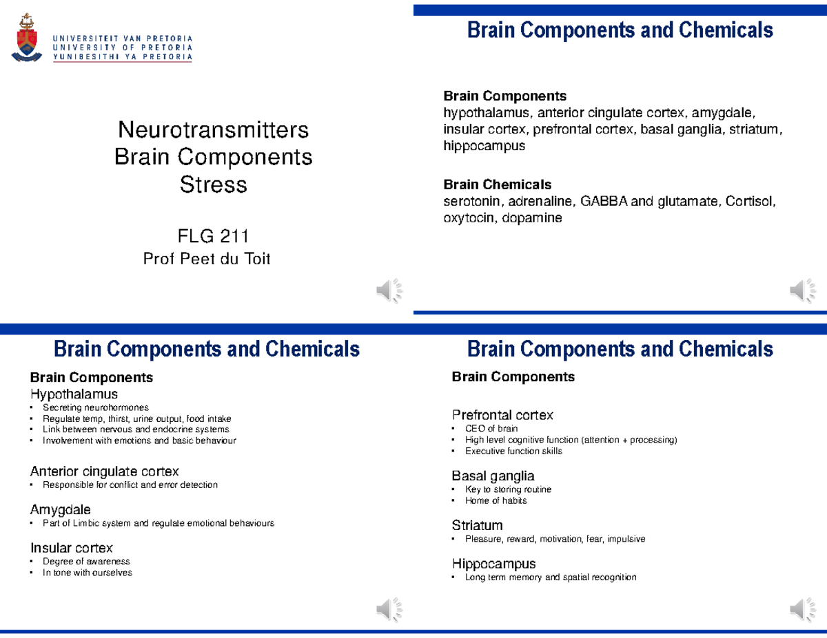 Unit 3.4 FLG211 - Useful Notes - Neurotransmitters Brain Components ...