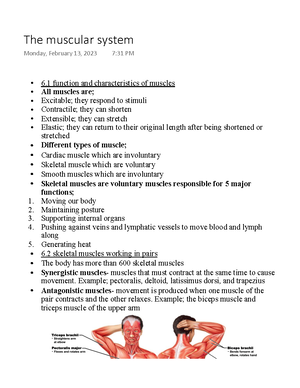 Case Study - The Tired Swimmer - ppGroup Names:Alazar Ascahlew Pd - Studocu
