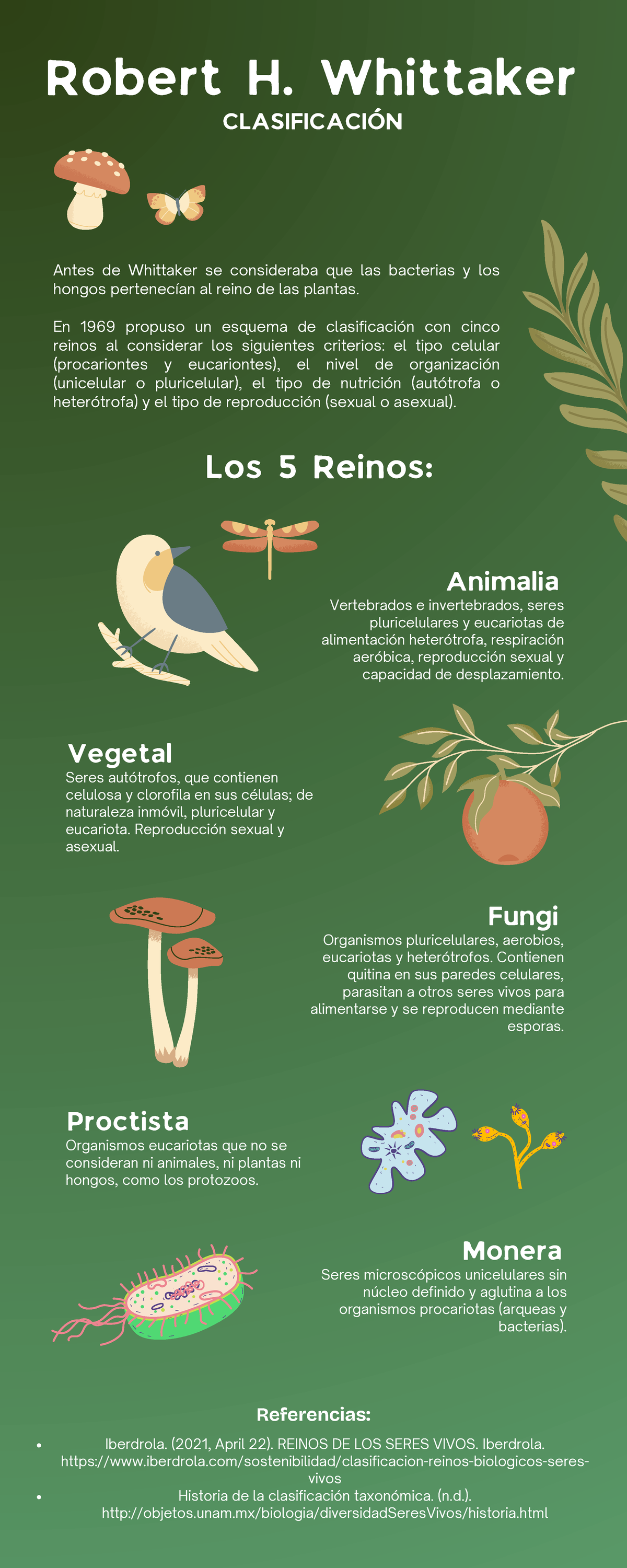 Bases de la clasificación Whittaker - Robert H. Whittaker Antes de ...