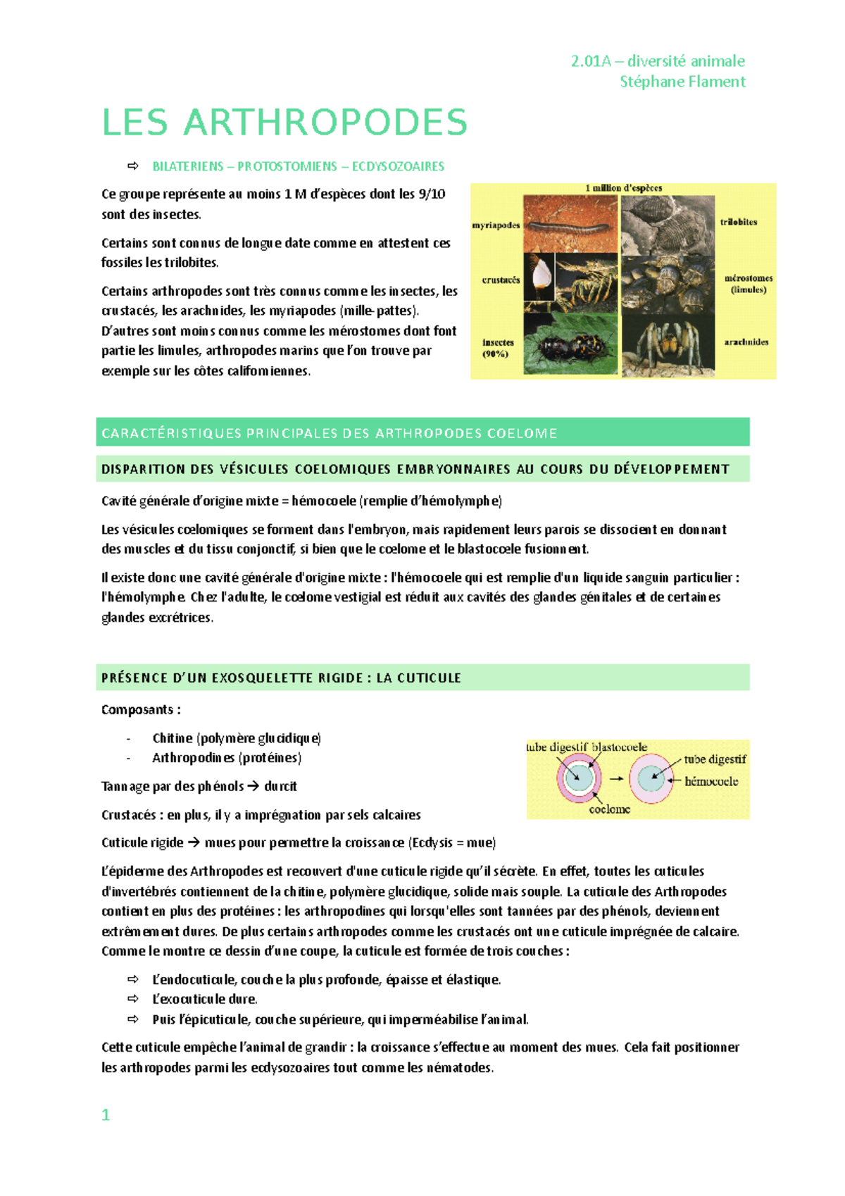 2.01A - les arthropodes - Stéphane Flament - Stéphane Flament LES ...