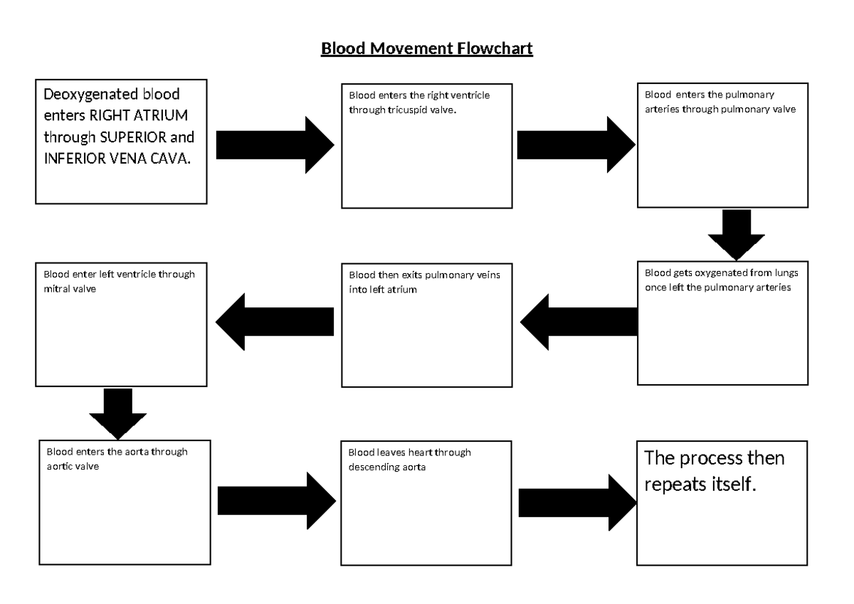 Blood+Movement+Flowchart+Student+Copy copy - Blood Movement Flowchart ...