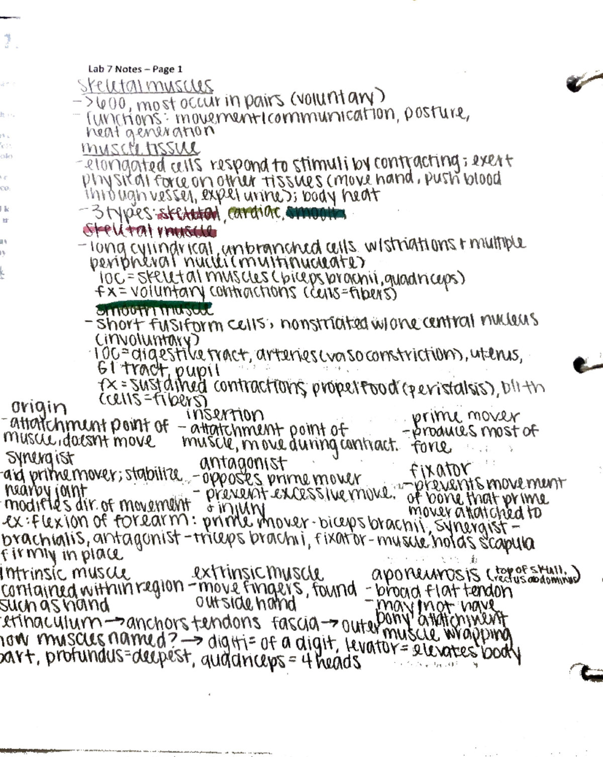 2021-03-15 22-44 - Practical lab notes/answers - BIO 201L - Studocu
