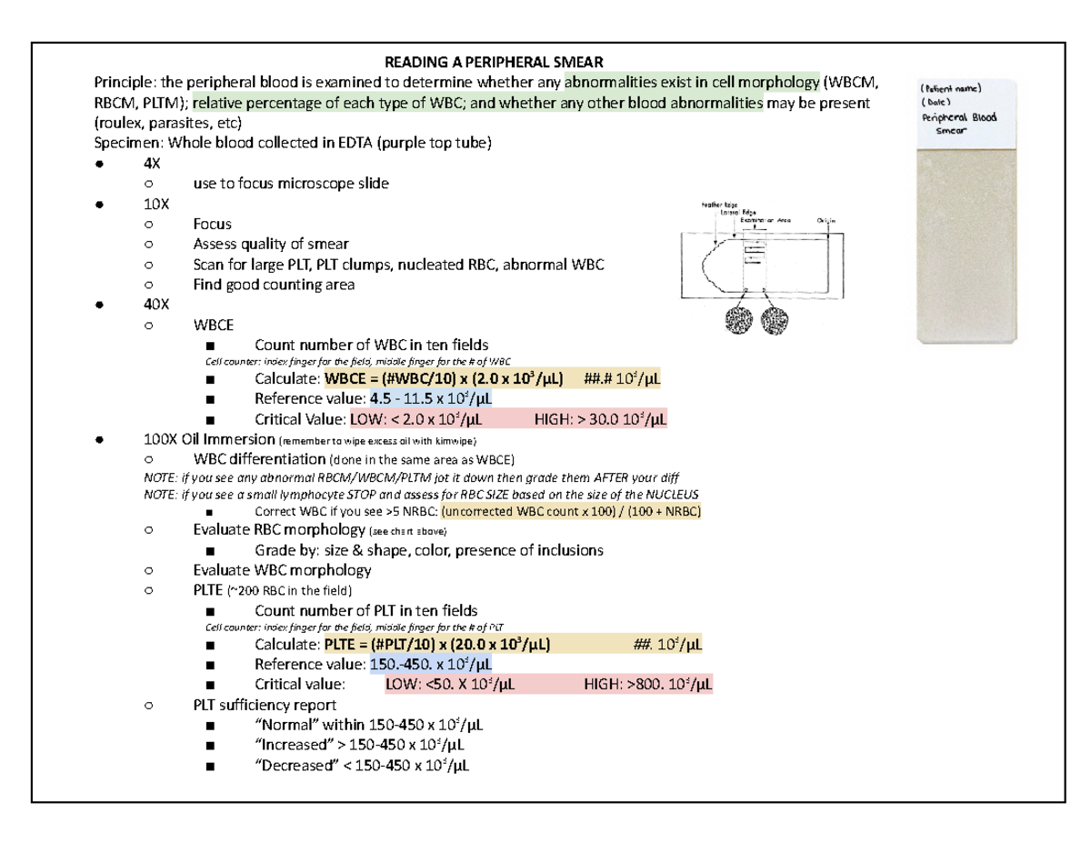 Intro to Hematology Lab Procedures - READING A PERIPHERAL SMEAR ...