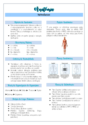 2010 e sample Netter Atlas de Anatomia para Colorir - Netter Anatomia ...
