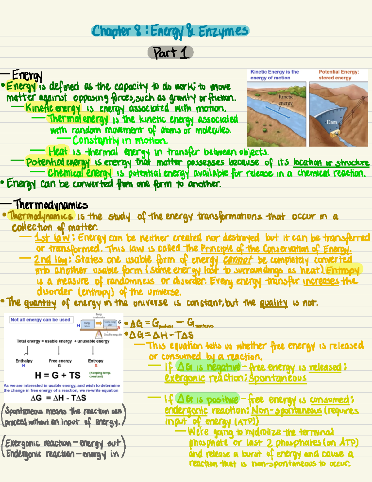 Biology; Chapter 8 - Energy And Enzymes - Chapter 8 : Energy & Enzymes ...