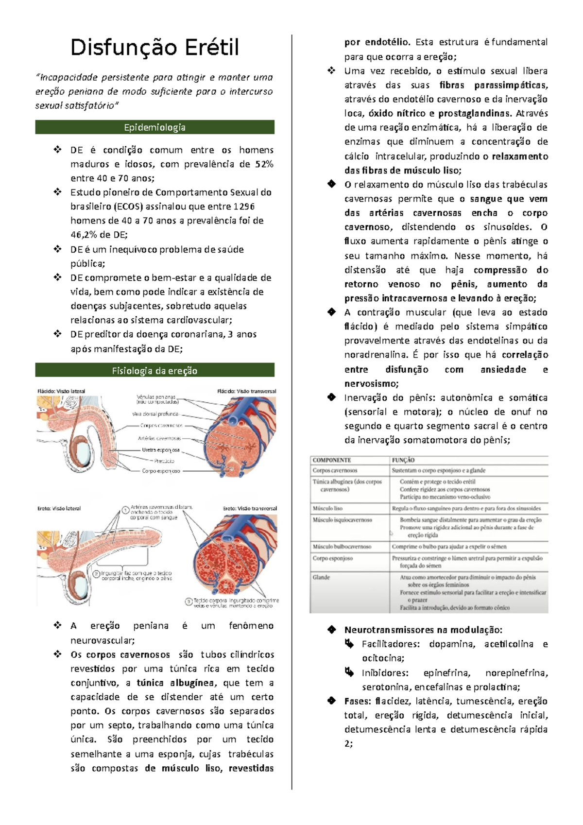 Disfunção Erétil - Disfunção Erétil “Incapacidade persistente para ...