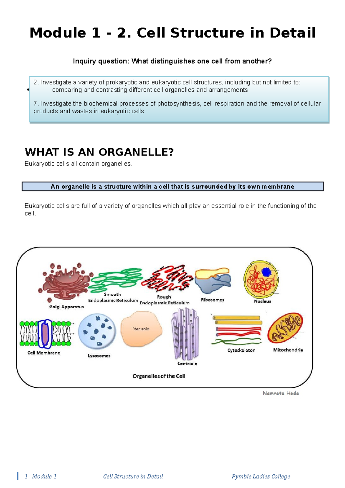 2Cell Structure In Detail - Module 1 - 2. Cell Structure in Detail ...