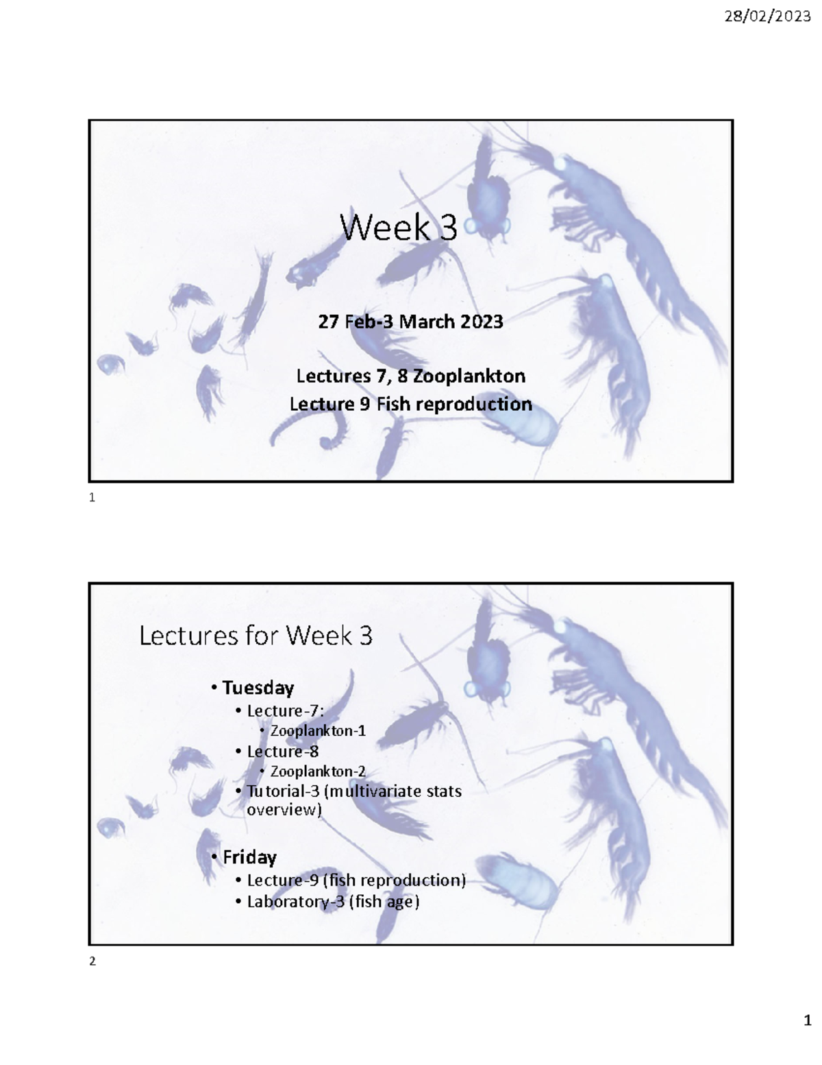 Week 3 Zooplankton 1,2, fish2 - Week 3 27 Feb-3 March 2023 Lectures 7, 8 Zooplankton Lecture 9 ...