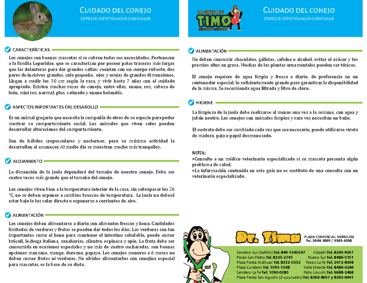 Conejo - Jshsh - Cuidado del conejo especie: oryctolagus cuniculus ...