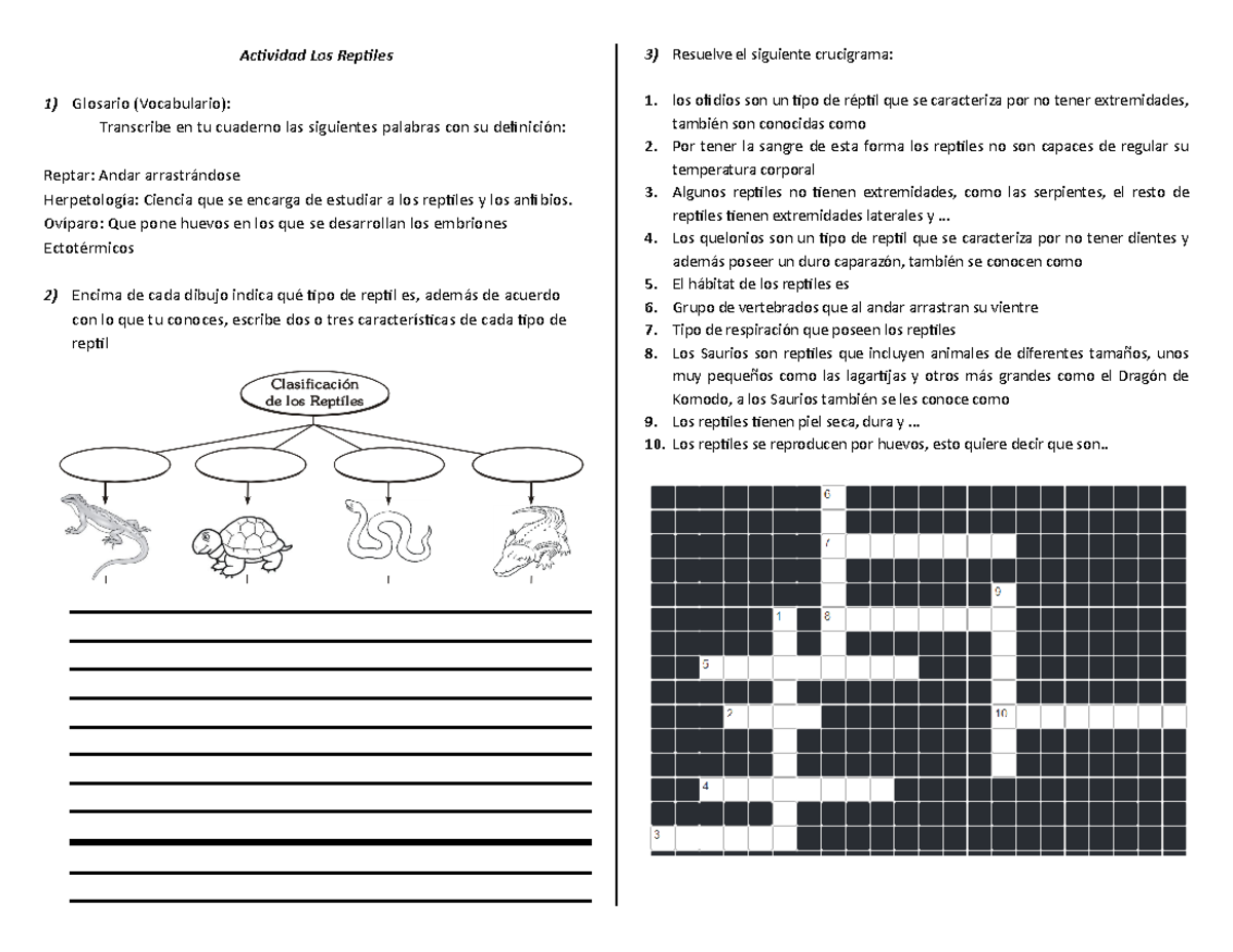 Actividad Los Reptiles - Actividad Los Reptiles Glosario (Vocabulario ...
