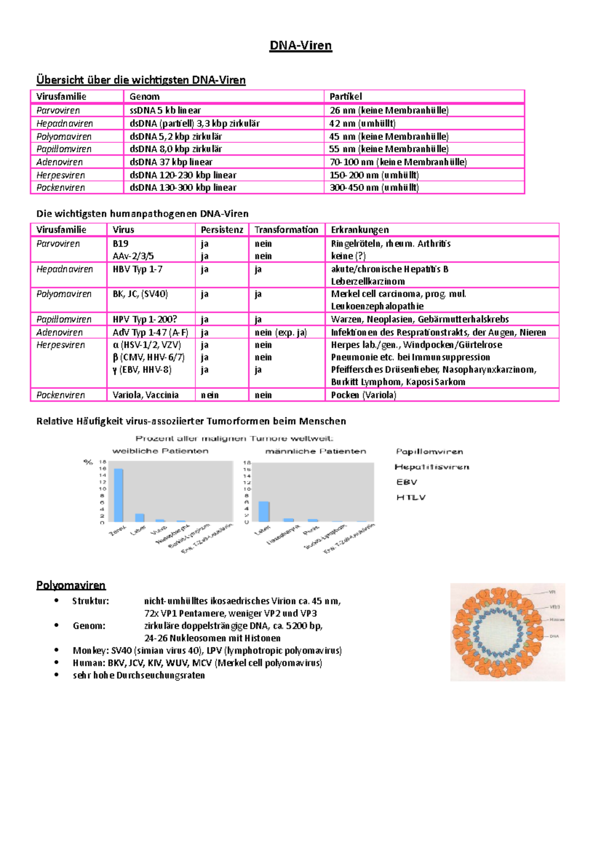3 - DNA-Viren - DNA-Viren Übersicht über die wichtigsten DNA-Viren ...