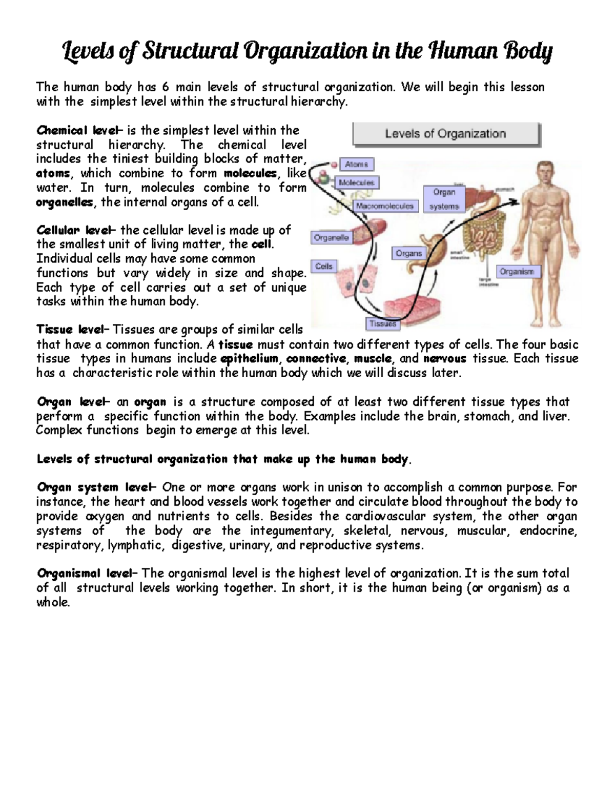 ELS Activity Molina - notes - Level of Structura Organatio i th Huma ...