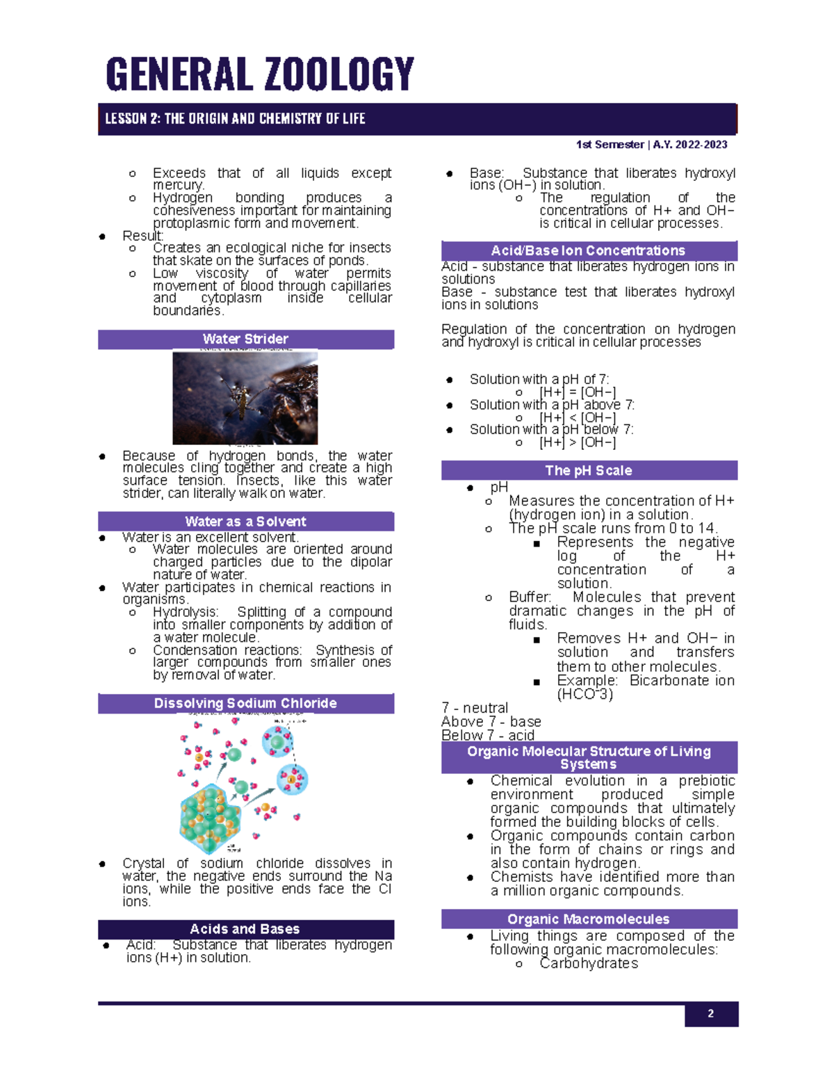 2.2 General Zoology - Gen Zoo Notes - GENERAL ZOOLOGY LESSON 2: THE ...
