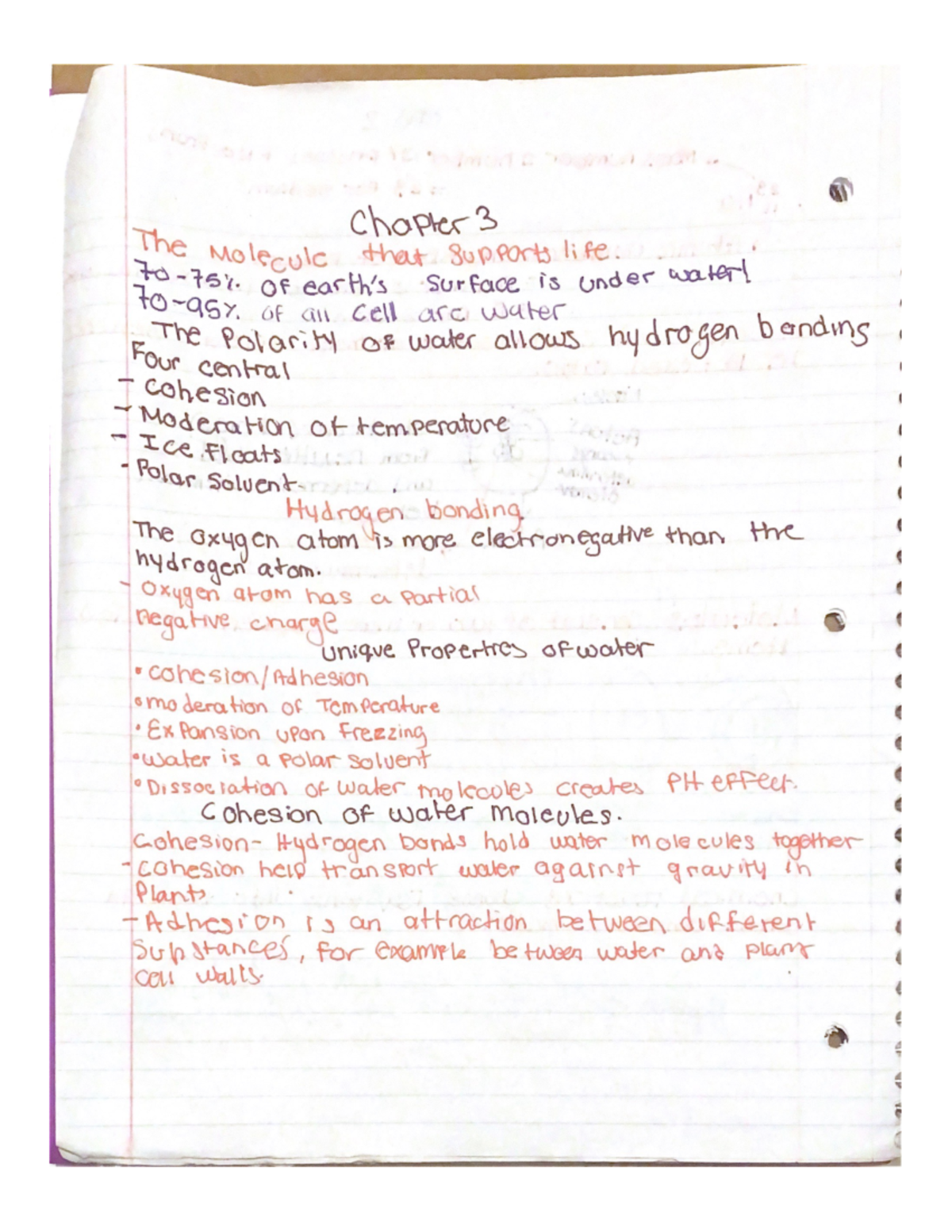 chapter 3 water - BIO 103 - John Jay - Studocu