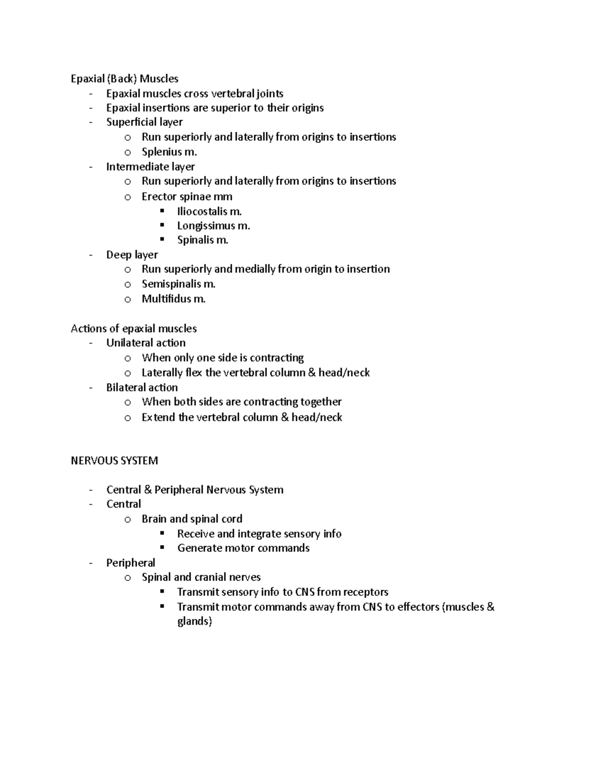 Back Muscles and Back Nervous System - Epaxial (Back) Muscles - Epaxial ...
