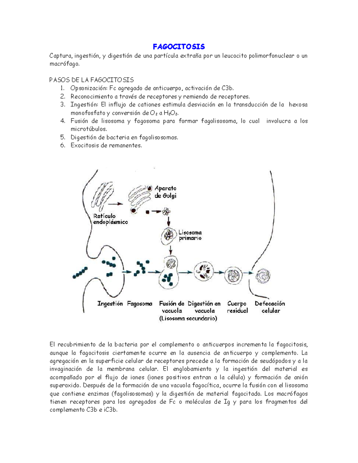Resumen Kuby Immunology - Fagocitosis - FAGOCITOSIS Captura, ingestión ...