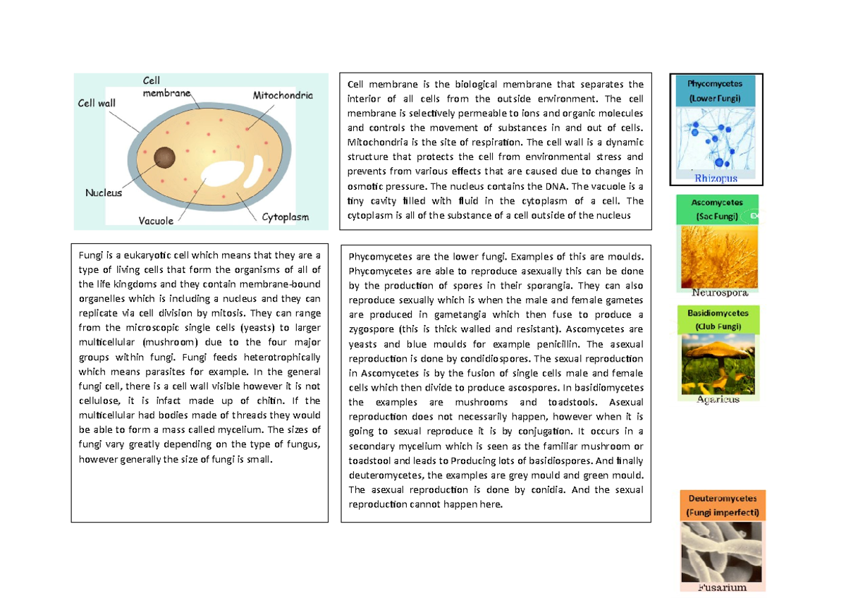 Fungi bacteria virus posters - Cell membrane is the biological membrane ...