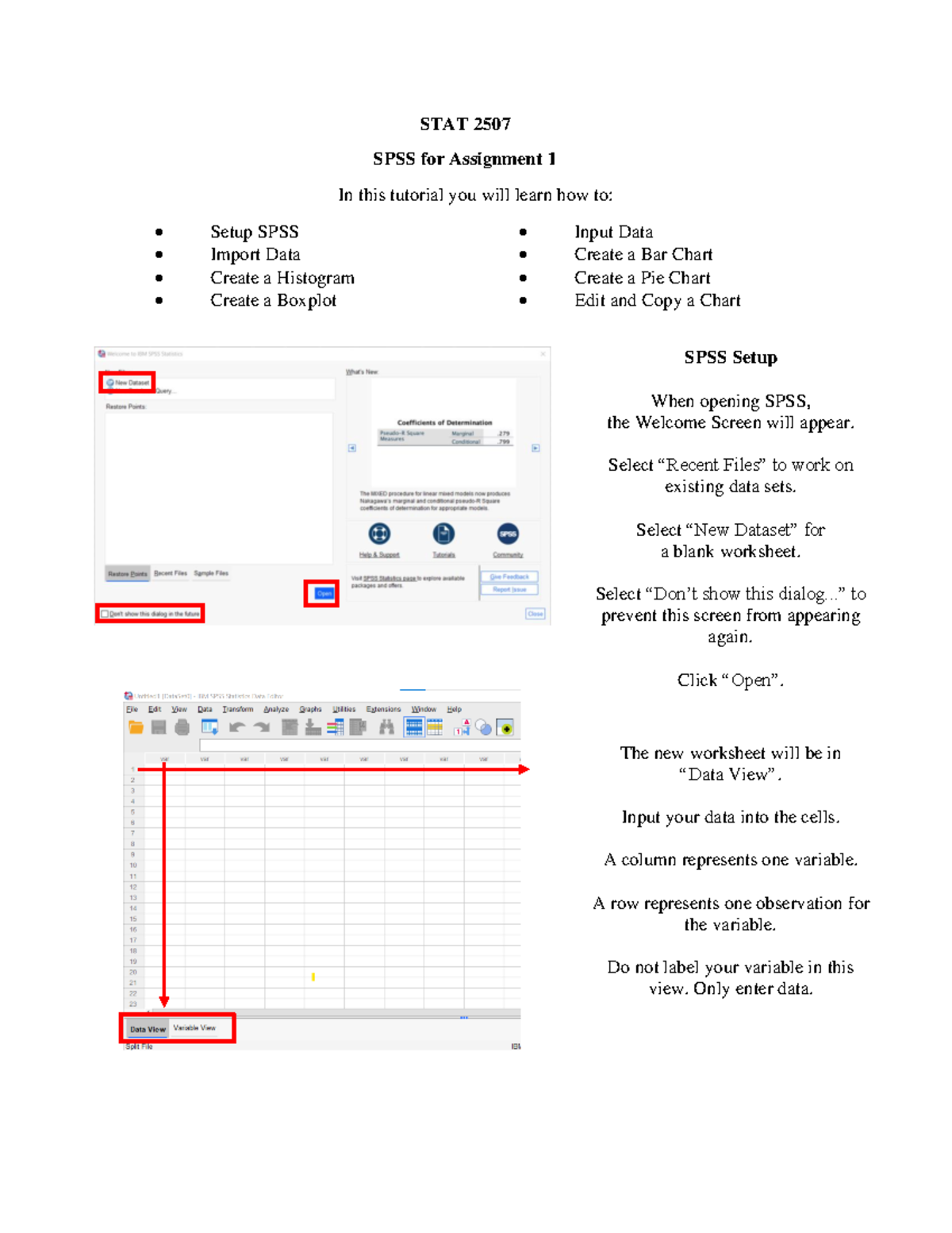 SPSS Tutorial for Assignment 1 - STAT 2507 SPSS for Assignment 1 In this tutorial you will learn ...