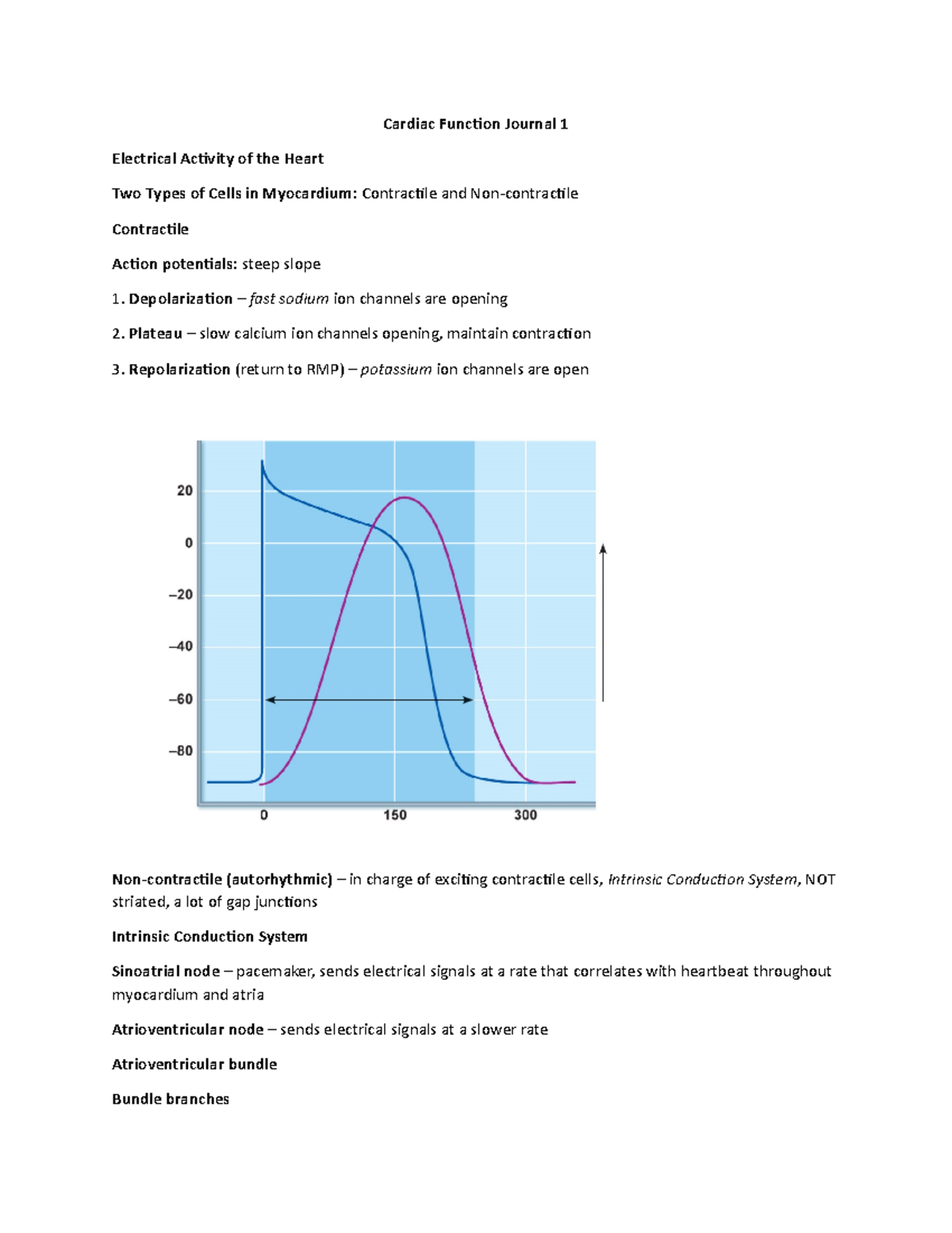 Journal Assignment 1: Cardiac Function - Cardiac Function Journal 1 ...