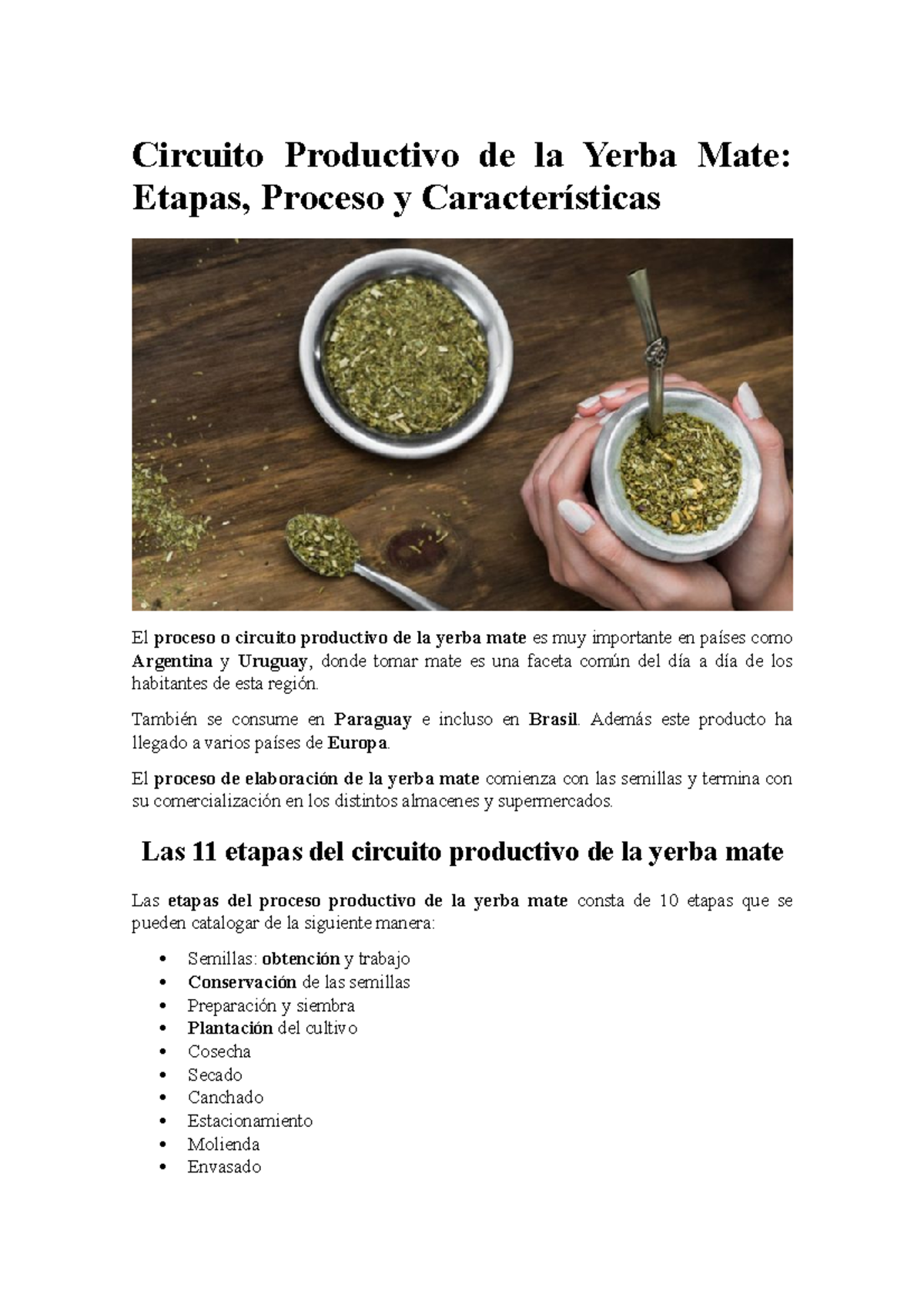 Circuito Productivo de la Yerba Mate - Circuito Productivo de la Yerba ...