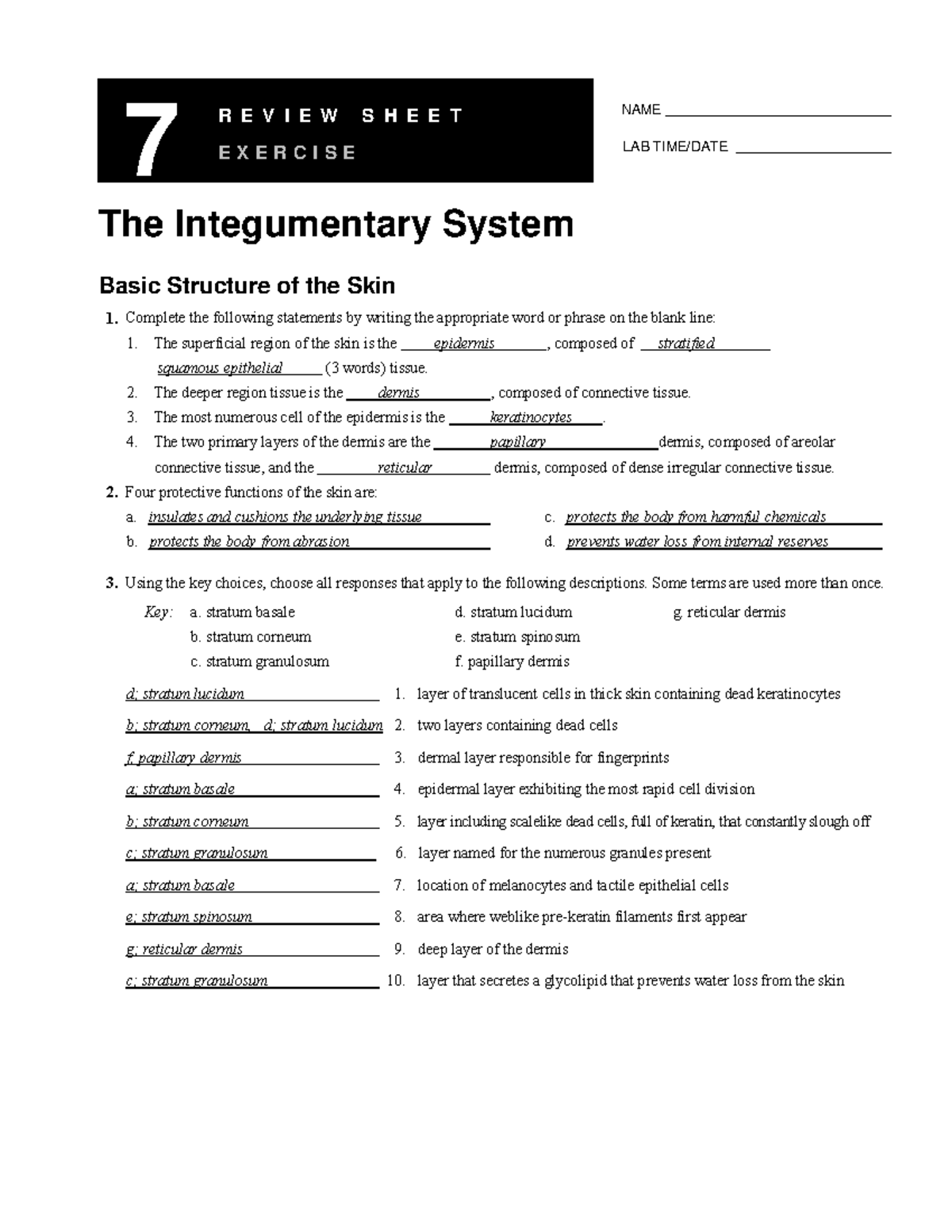 Lab Exercise 7 Review Sheet - 7 R E V I E W S H E E T E X E R C I S E ...