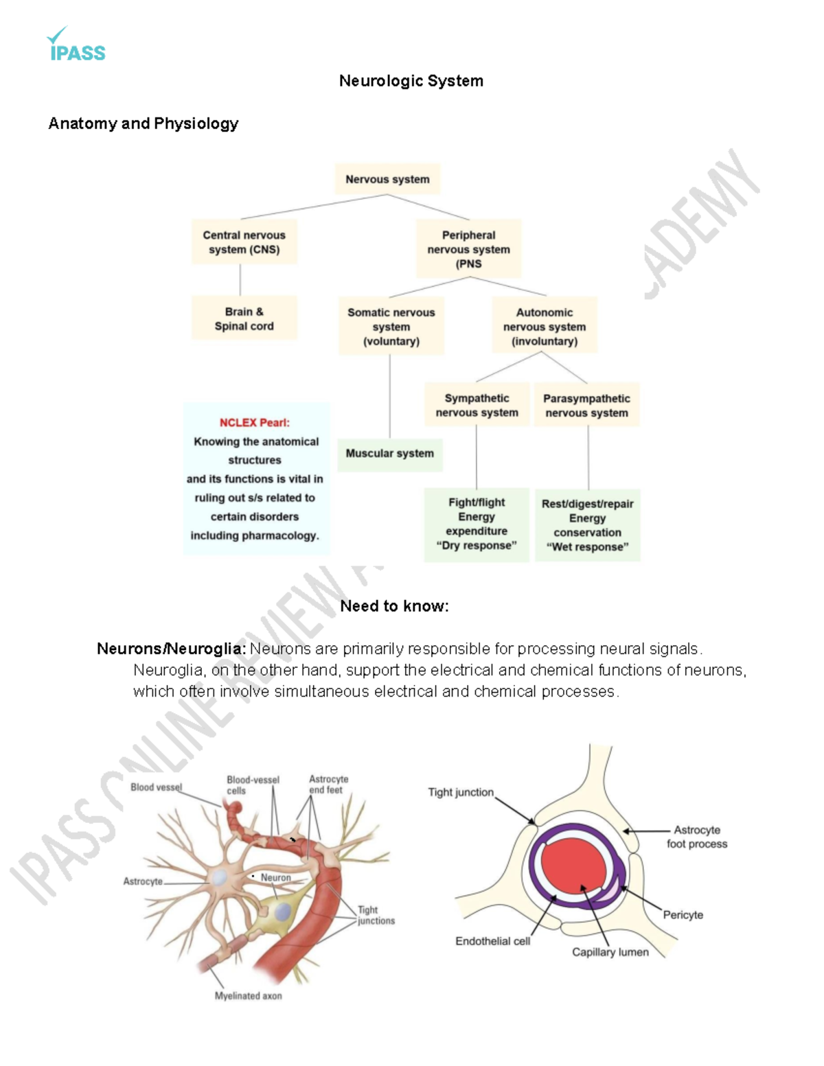Neurology Nclex Notes - Neurologic System Anatomy and Physiology Need ...