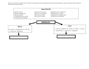 Double unknown project - From the original unknown broth culture, the ...