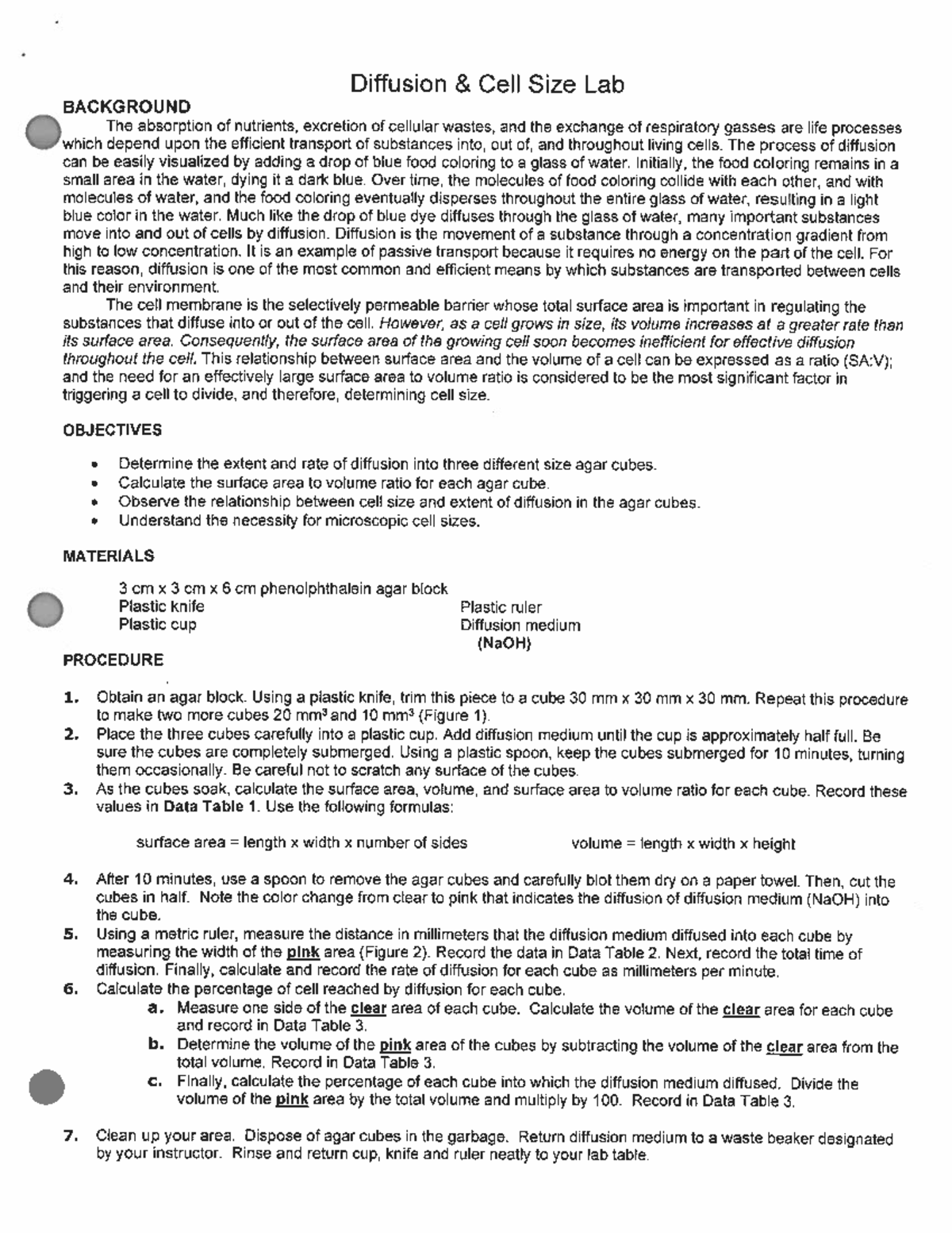Diffusion and Cell Size Lab - Studocu