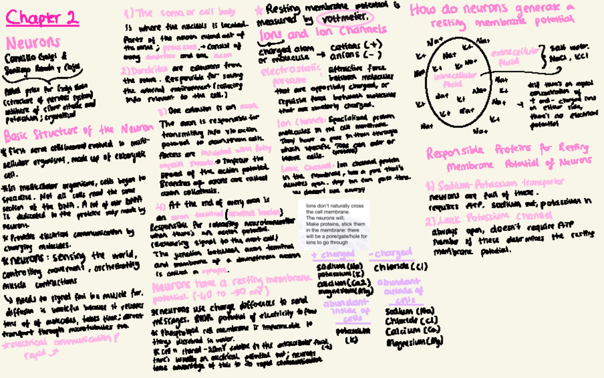 Chapter 2 - Includes notes from slides, the textbook, and what the prof ...