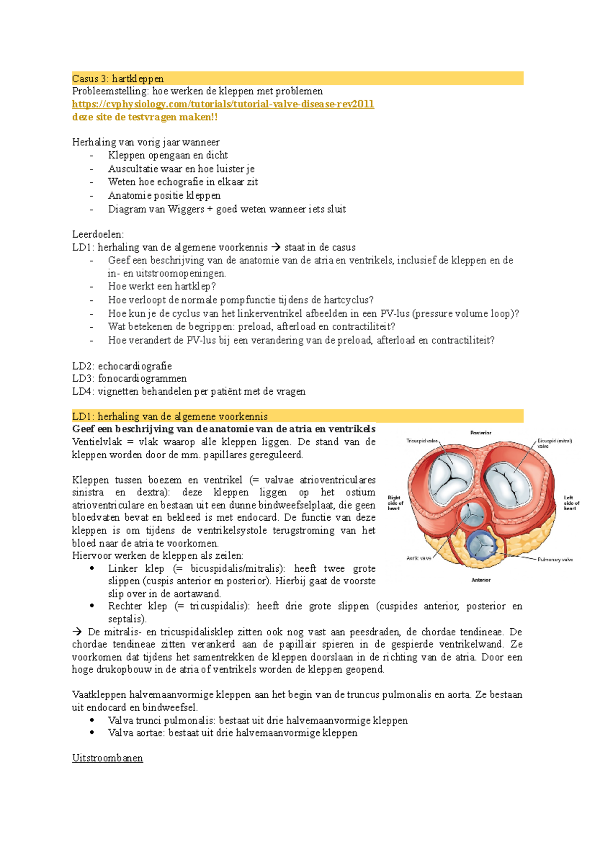 Casus 3 blok 2.1 - Casus 3: hartkleppen Probleemstelling: hoe werken de ...