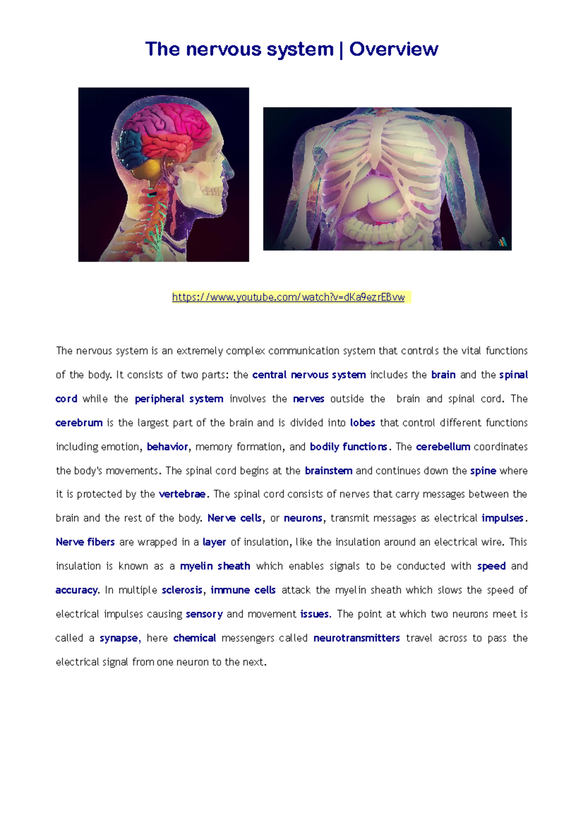 Video nervous system overview transcript LAS - The nervous system ...