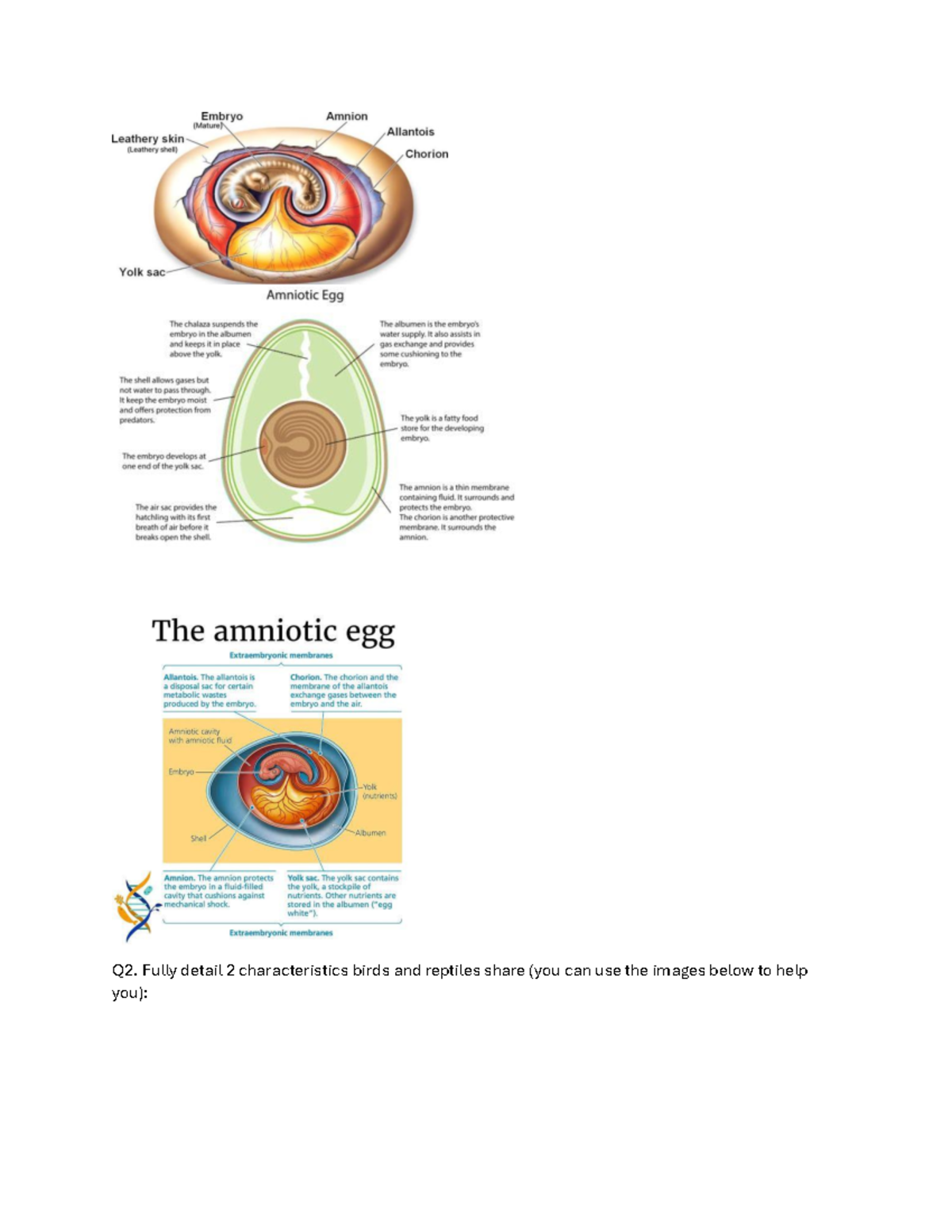 DOC-20241014-WA0020 - Lecture slides - Q2. Fully detail 2 ...