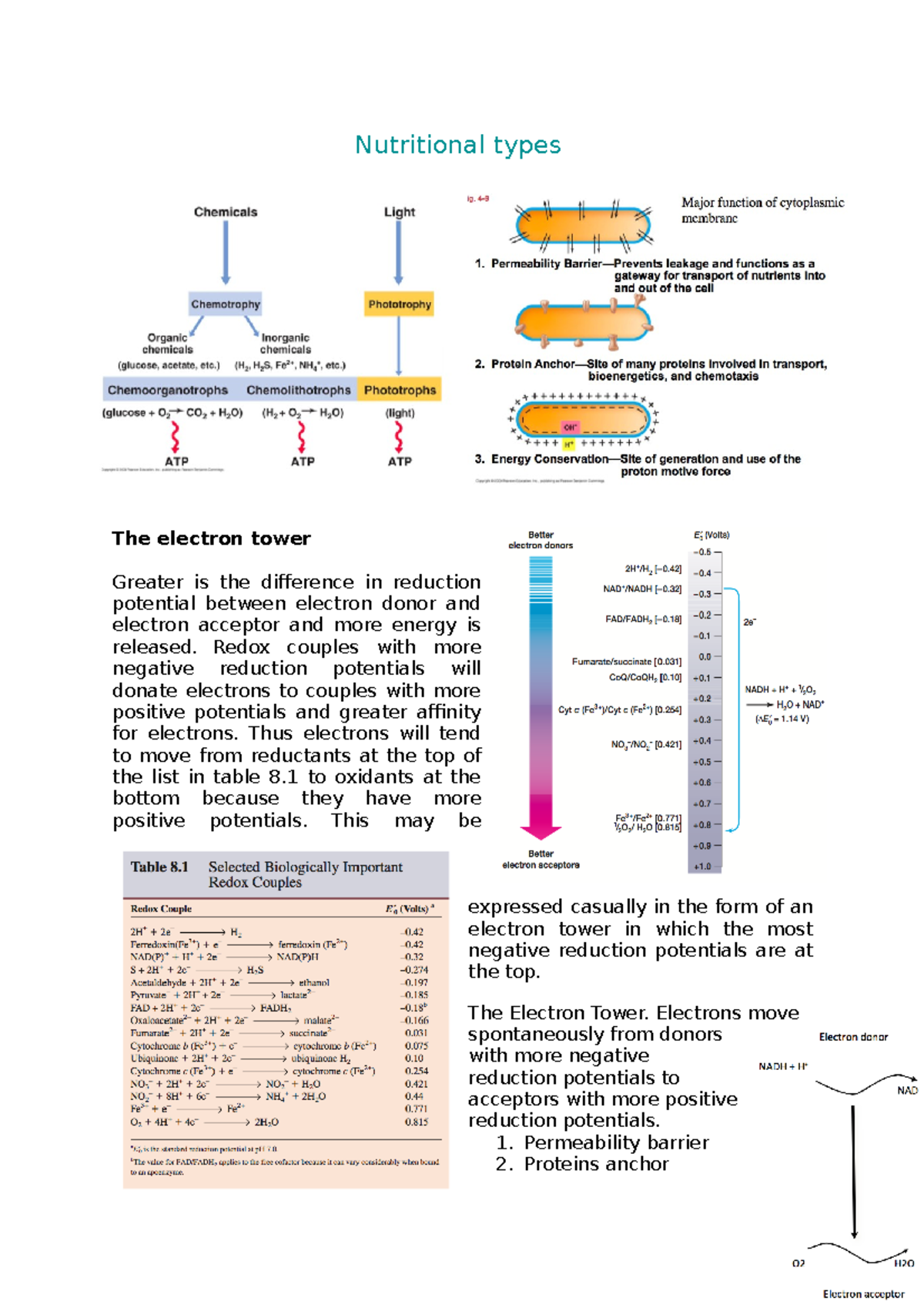Week 12 Nutritional types - Nutritional types The electron tower ...